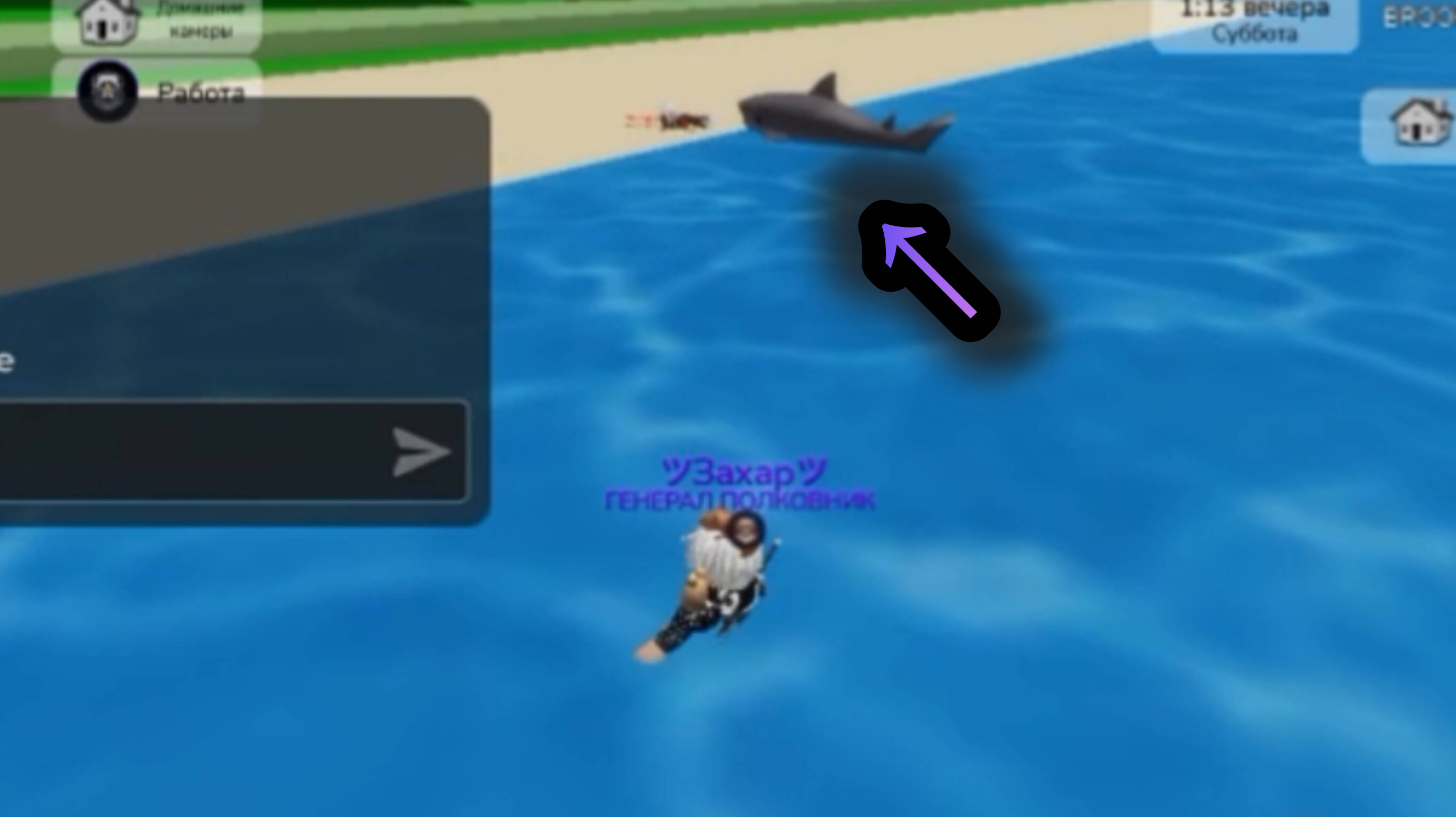 ОТДЫХ на ПЛЯЖЕ в БРУКХЕЙВЕН! (Влада унесла акула!!!)