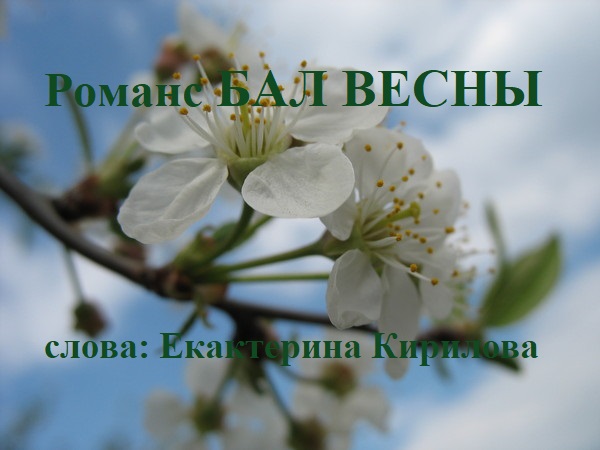 Романс "Бал Весны" (муз.Д.Жученко, сл.Е.Кириловой)