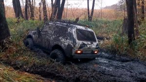 Чернолесье и хвойный лес в Двулучном | Оффроуд Валуйки