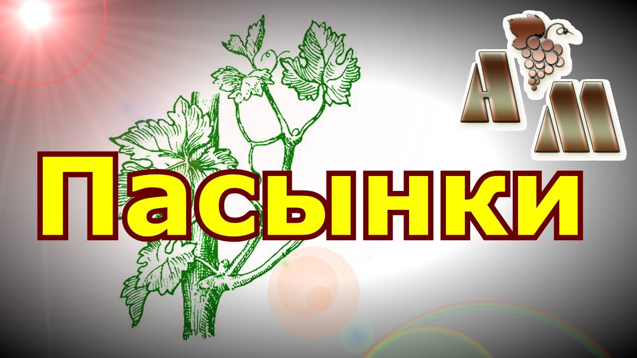 ? Как пасынковать виноград