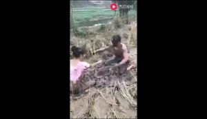 Летние игры от азиатов