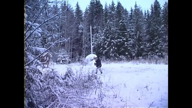 "Охота на кабана с вышки". Видеоприложение №2 часть 3