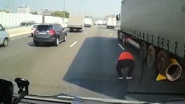 На МКАДе котёнок чуть не попал под колёса, но водитель фуры заметил малыша и спас его