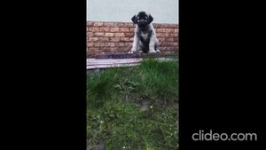 С ДНЕМ РОЖДЕНИЯ!!!
