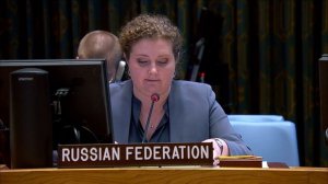 Выступление А.М.Евстигнеевой на заседании СБ ООН по ситуации в Центральноафриканском регионе