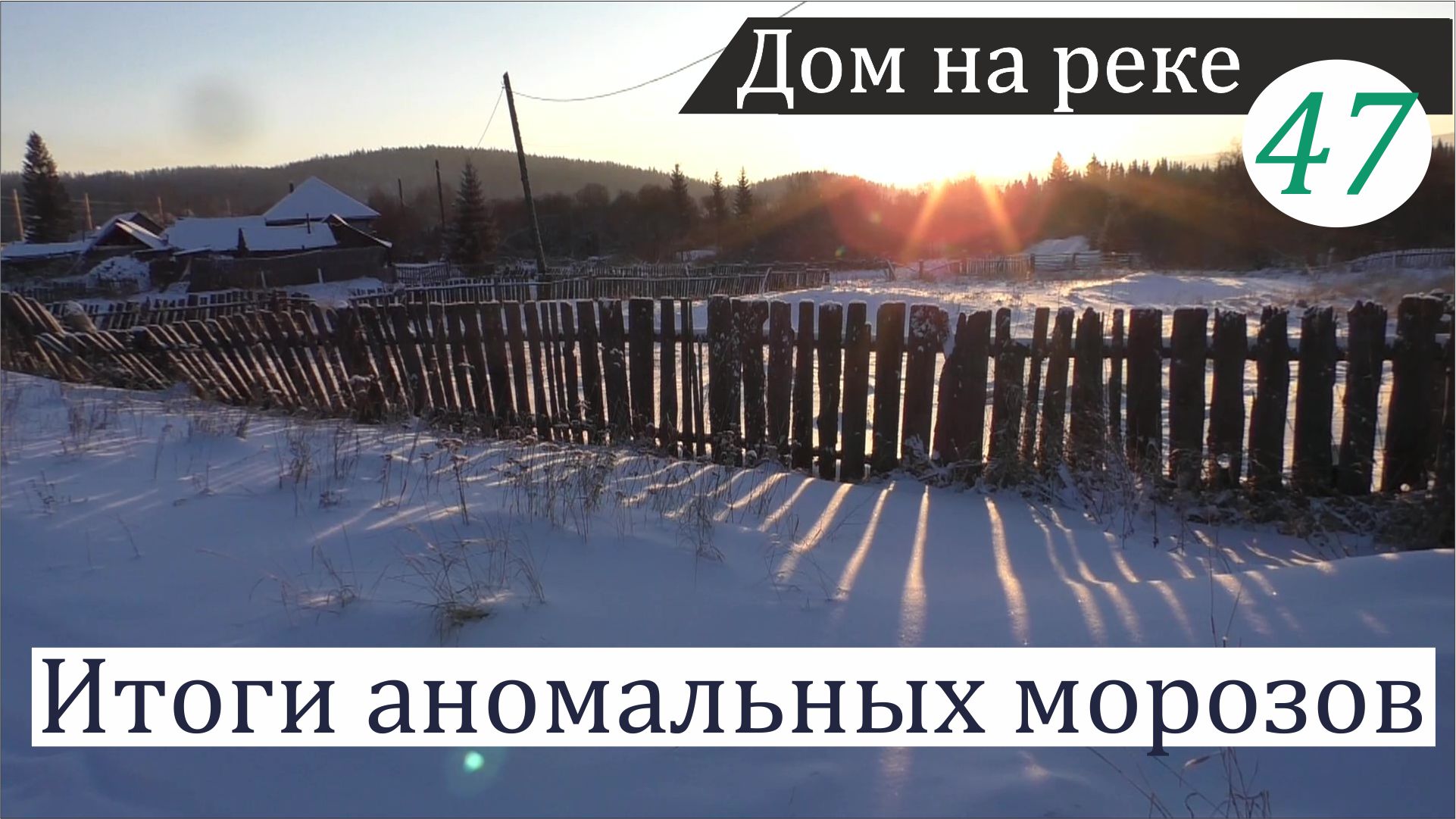 Неожиданные итоги аномальных морозов и вкусная посылка из Санкт-Петербурга. Дом на реке, часть 47