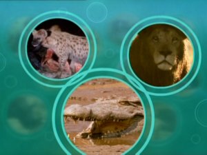 Ребятам о зверятах (All about Animals)