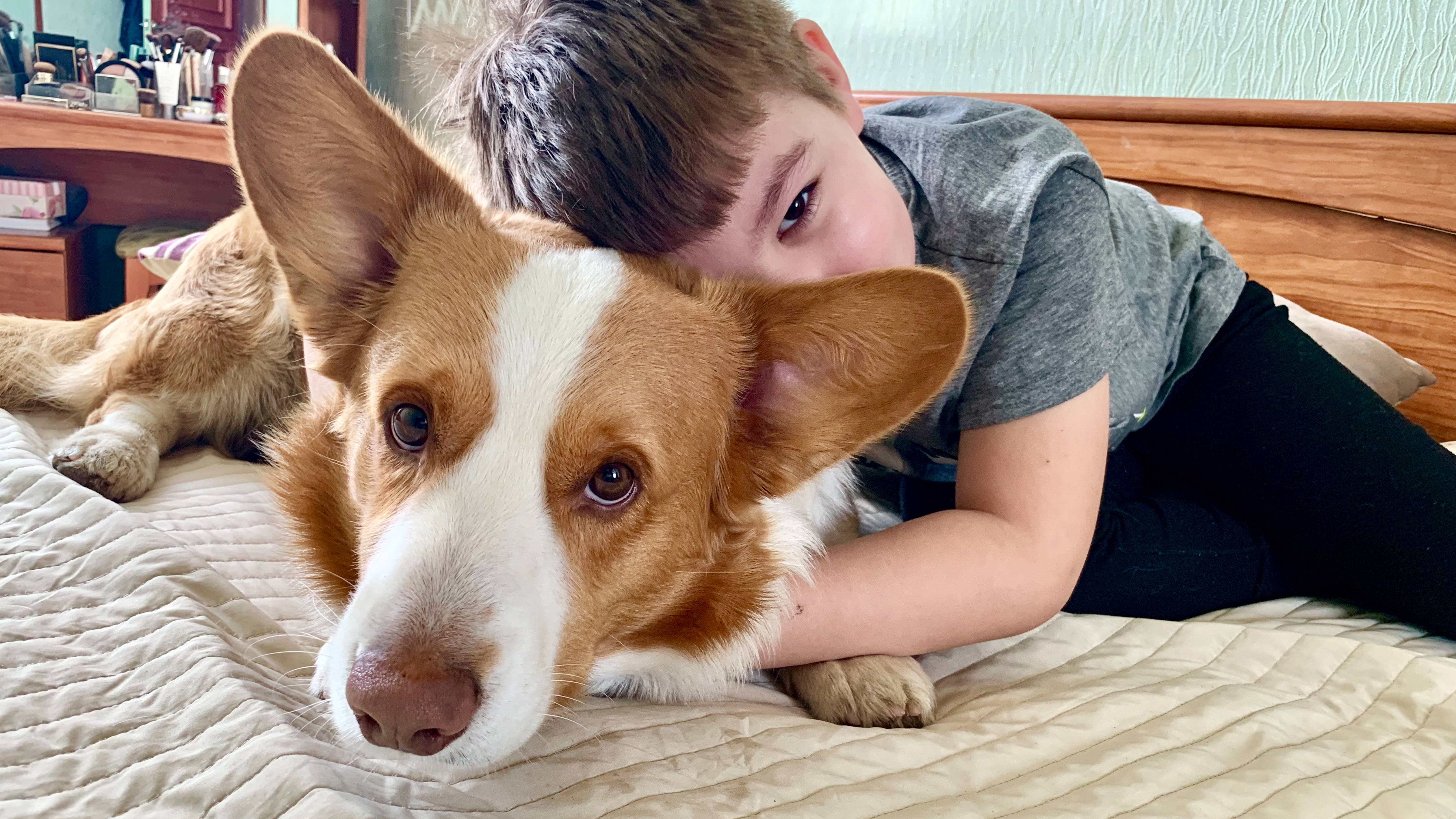 Лаврик. Утренние нежности. Апрель 2019