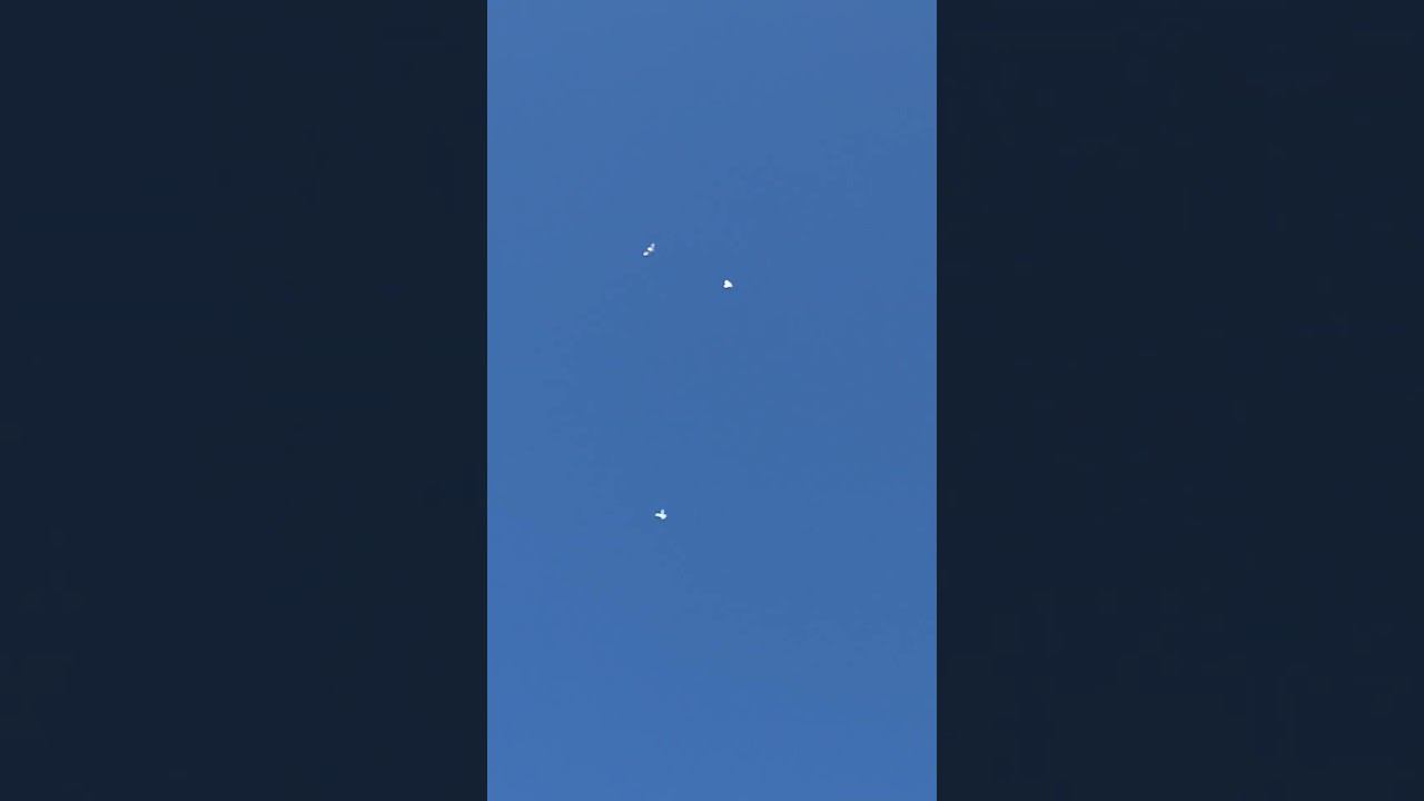 20 июня 2024 г.