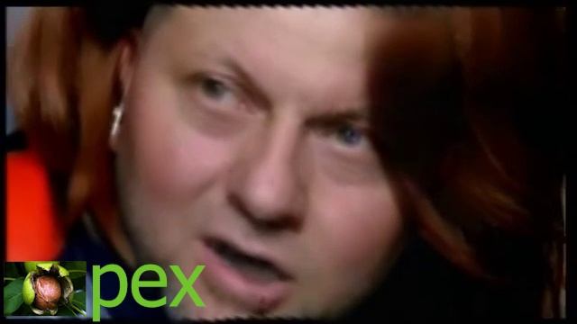 Залужный все!