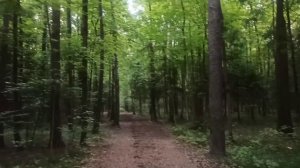 Жизнь соло. Накипело.