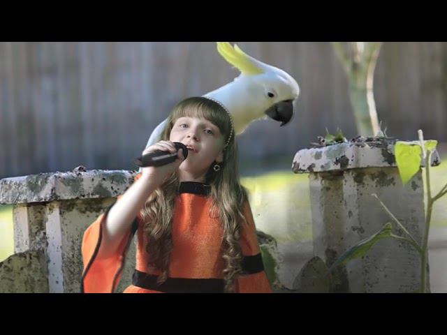 Каролина Садекова -  "Какаду" - сл. и муз. Сергея Бардина
