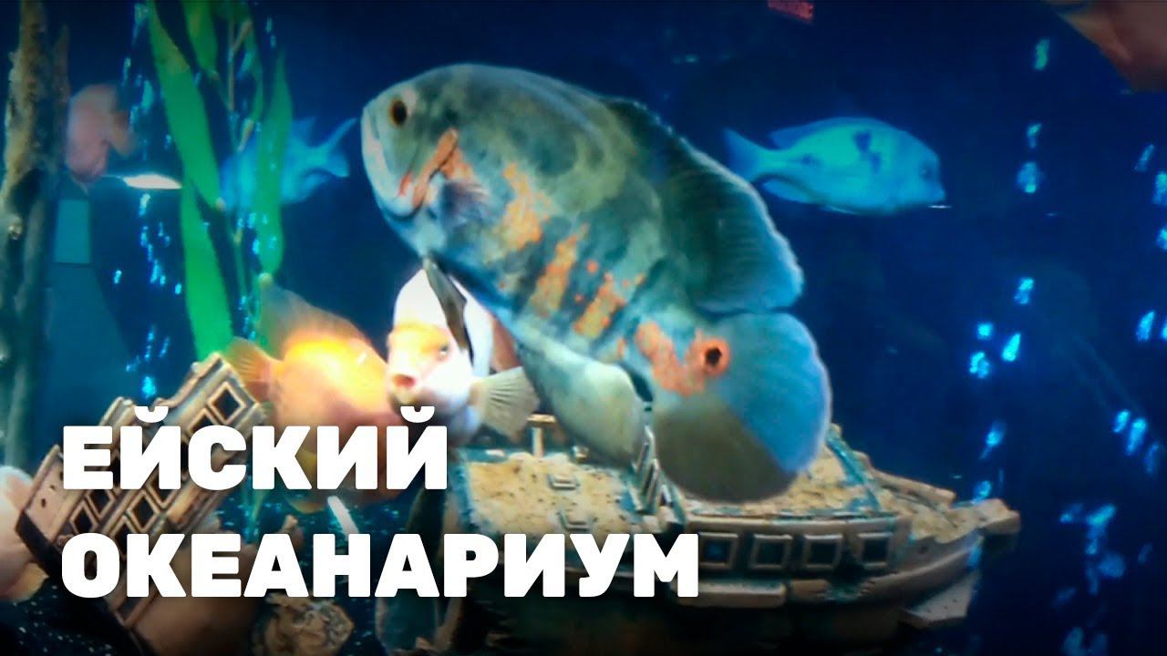 Рыбные приключения на Азовском море