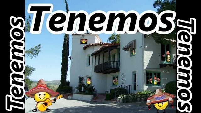 TENER (To Have) Verb Song - Present Tense - Spanish Conjugation - La Conjugaciуn del Verbo TENER