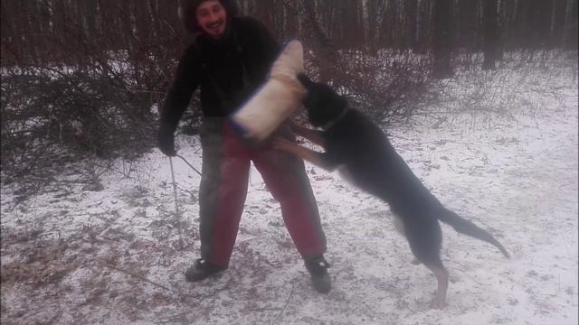 Улан с Красных Прудов. Задержание через покрышки.