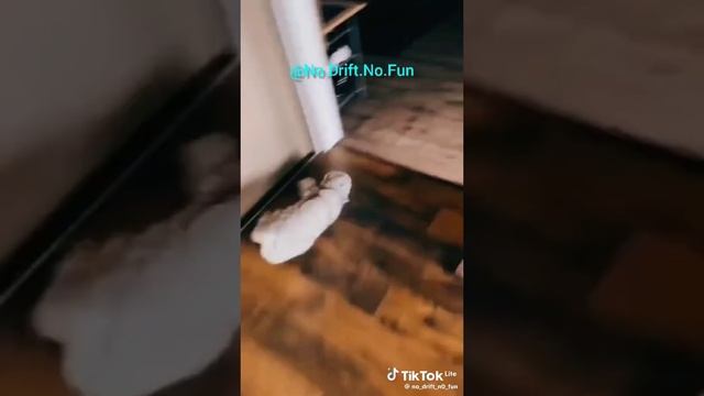 3d65d2c23163e236dfa3e91f3feb03f5.mp4