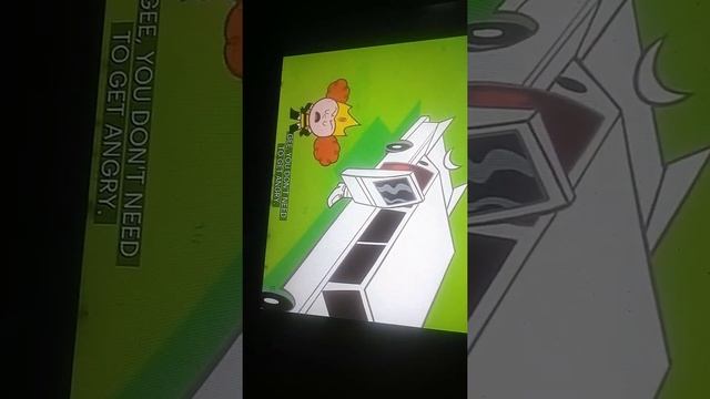 Mojo and princess arguing – смотреть онлайн видео от PHP и веб-сокеты в ...