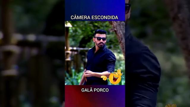 Смешные видео 31