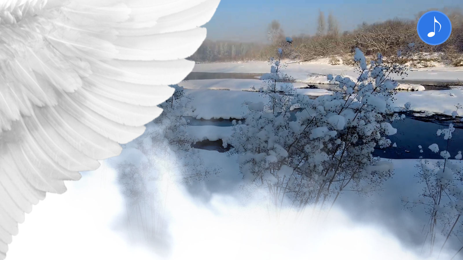 Прогулка на природе / Nature Walk № 119 (December 21 декабря)