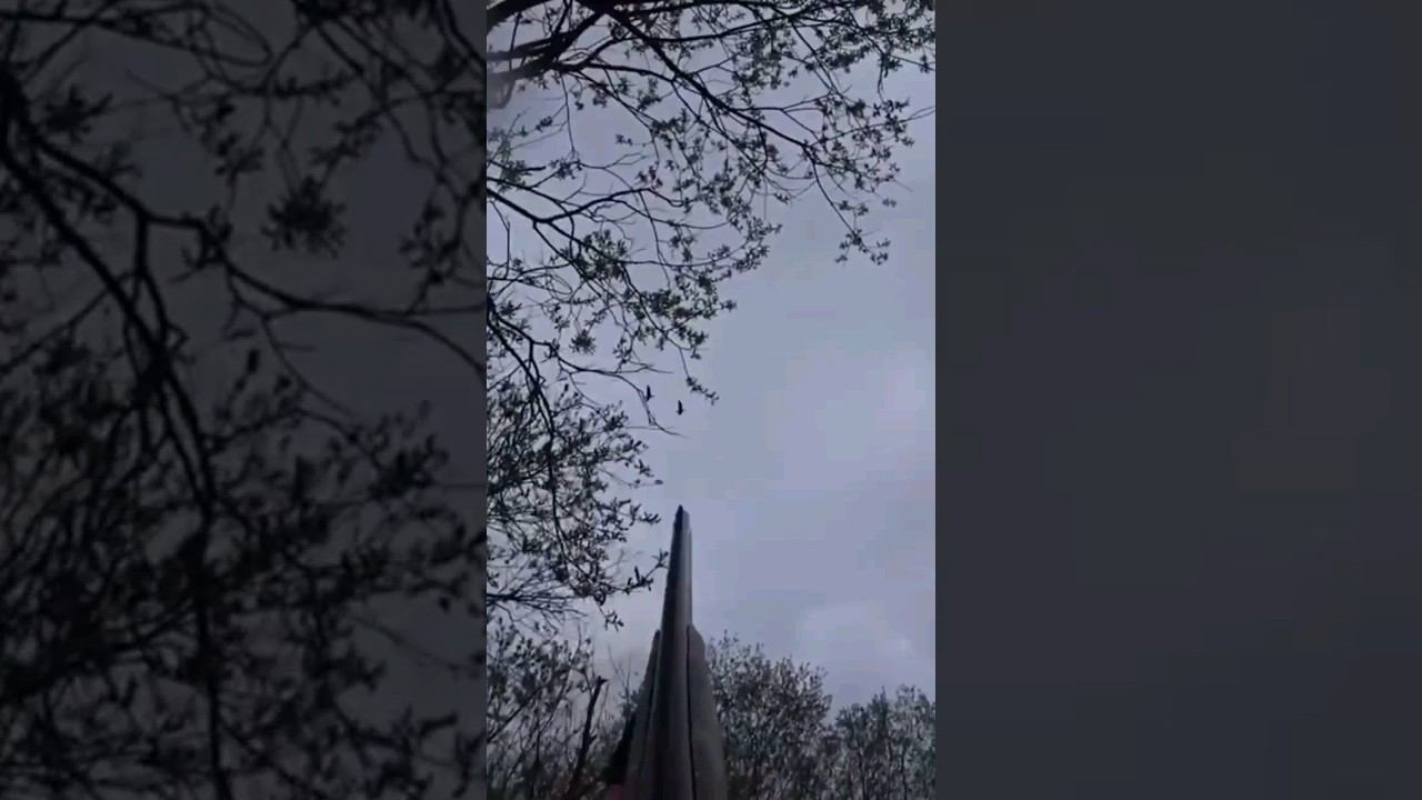 С Охоты На рыбалку на RUTUBE: 157 видео – смотреть онлайн и бесплатно ...