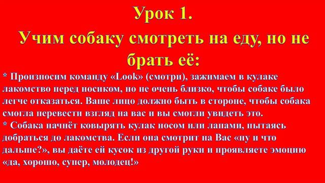 Урок 1