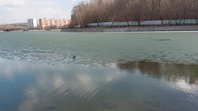 Парк Радуга