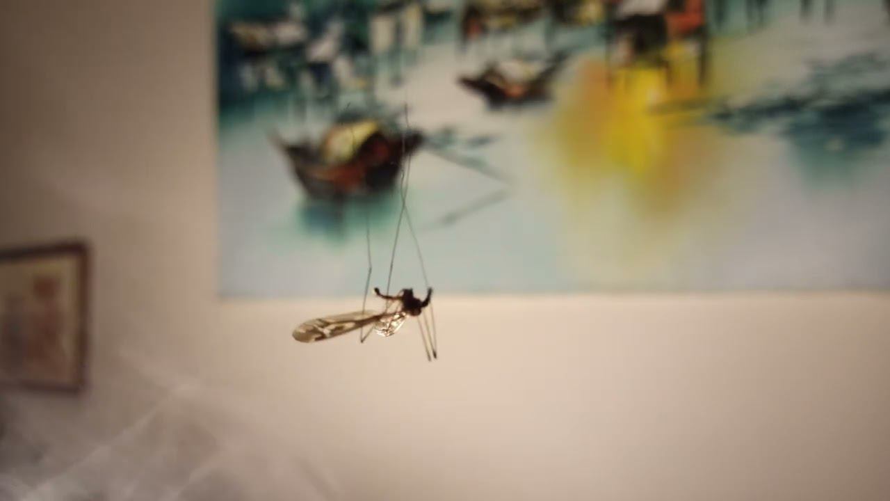 I'v seen things you people wouldn't believe