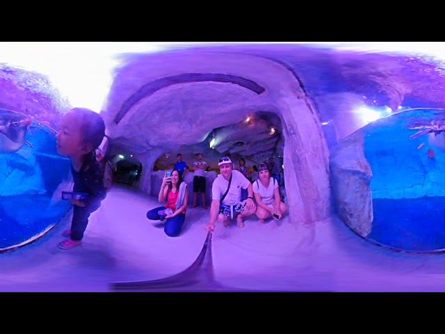 360° Видео Паттайя Май 2018 на экскурсии  (Бангкок океанариум 6)