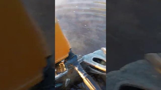 2021 год ветерок 8