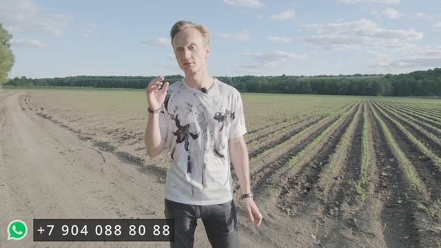 Телесный психолог онлайн Владимир Потапенко - ответы на вопросы подписчиков блога