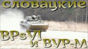 Варианты развития БМП-1 и БМП-2 от словаков: BPsVI и BVP M