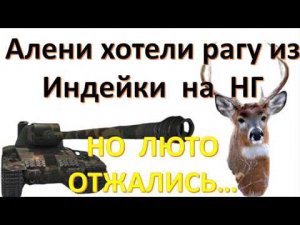 ВБР против престарелых днарей или почему оленям не стоит гнаться за лёгким фрагом