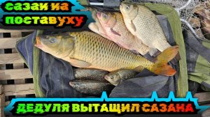 САЗАН на поставухи. МНОГО сходов. Рыбалка в Астрахани 2024. Отдых в красивых местах)