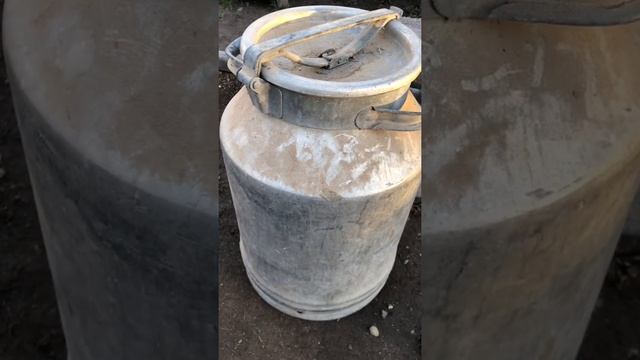 Коптильня из молочной фляги ч.1