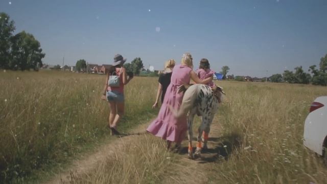 Фотопроект MAGIC HORSES .mp4