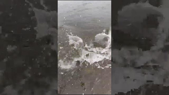 Ловля кижуча на воблер 80 мм (13 гр) от Mr. Musurok