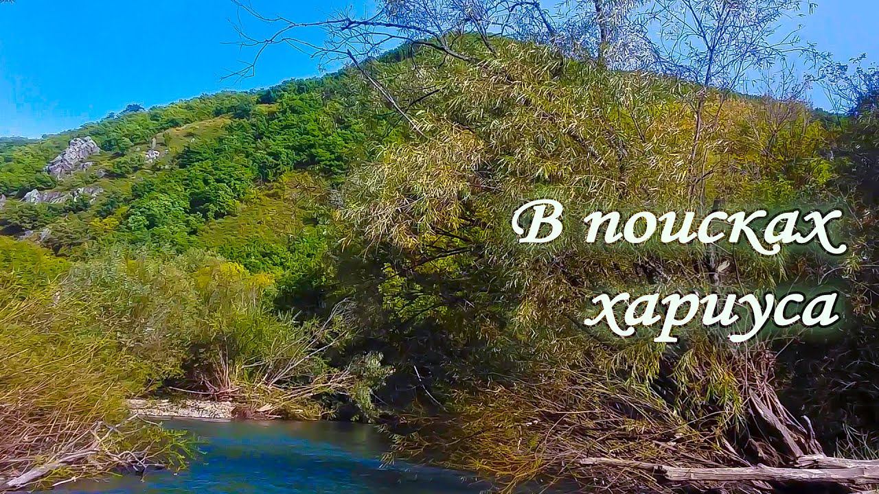 В поисках хариуса . Вариант мушки CDC  Elk Hair Caddis