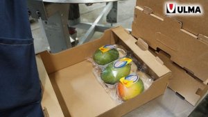 ЗАО "Фруктовая Лавка" выбирает решения ULMA для упаковки экзотических фруктов.