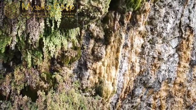 Красота и щедрое изобилие мира.