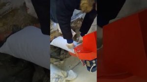 лавровый лист