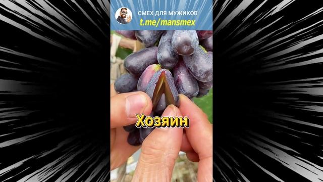 УШЛИ В НОЛЬ? (Смешной анекдот)