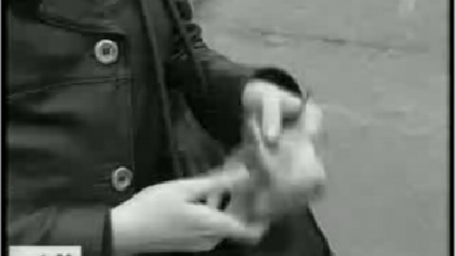 тв1 2005