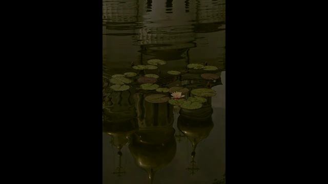 Отражения в фото