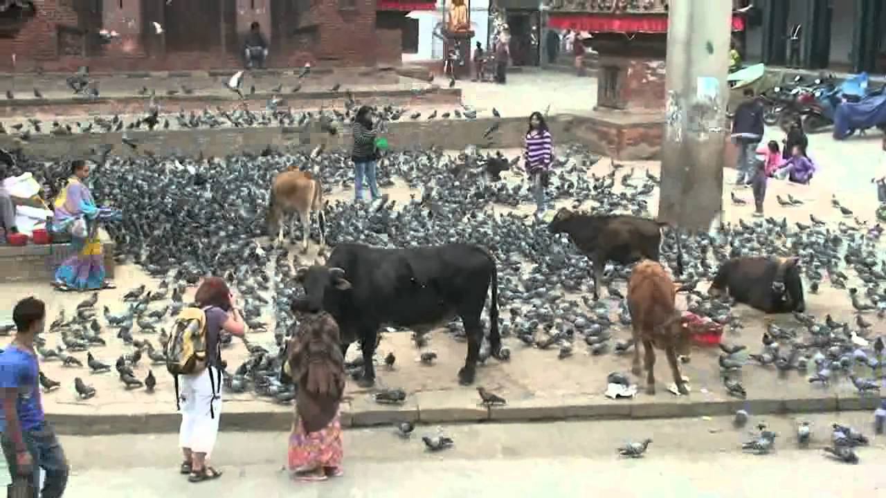 Катманду. Дворцовая площадь (Durbar square)