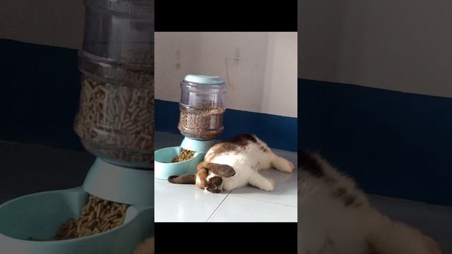 #Naptime#
