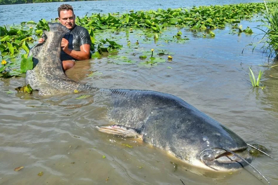 200.Максимальный вес на малом разряде.mp4