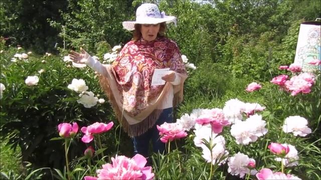 Топольын ош мамыкше велеш. Юдит Бенье. Аркадий Букетов кусарен.Йӧратыза, ракатланен илыза, малыза...