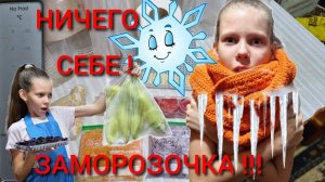 ЗАМОРОЗКА НА ЗИМУ!❄️ОВОЩИ,ЗЕЛЕНЬ,КУКУРУЗА,ФРУКТЫ. 🍅🫐🫑ПОЛНАЯ МОРОЗИЛКА!🧊 (1)