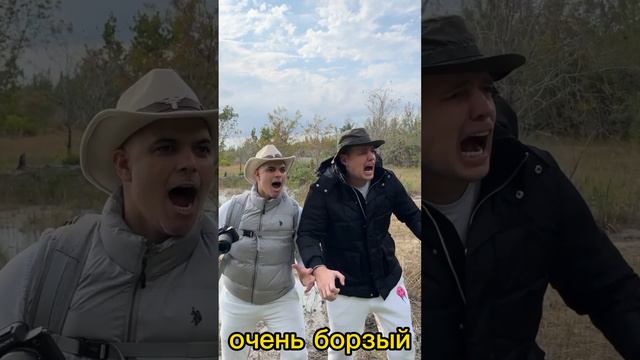 медведь испугался и убежал
