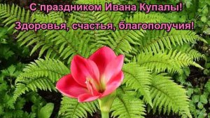 VID-20220707-WA0001.mp4